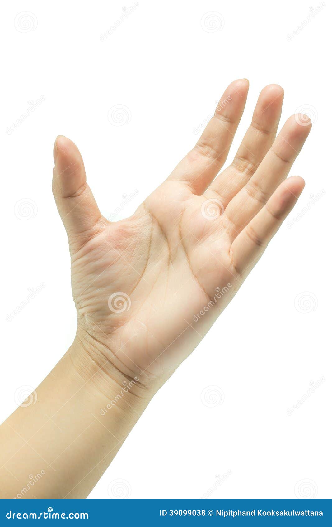 Empty Female Open Hand Isolated on White Stock Photo - Image of ...