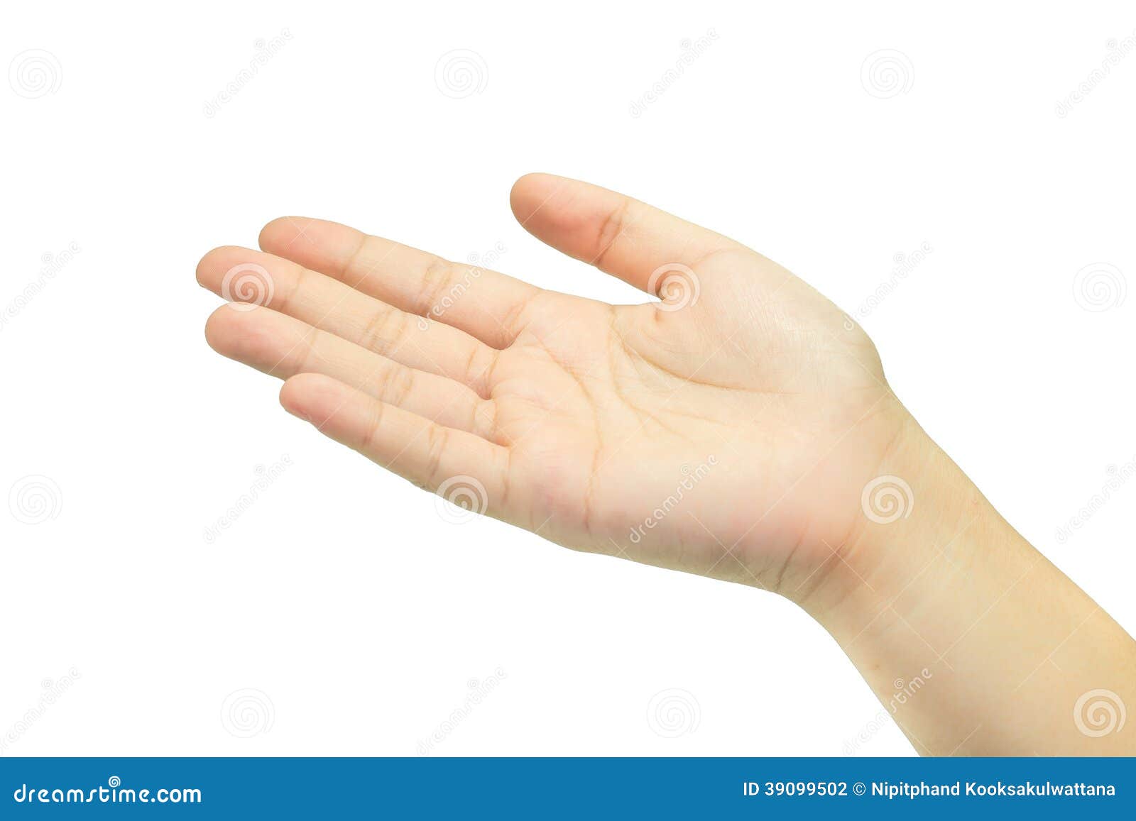 Empty Female Open Hand Isolated on White Stock Photo - Image of closeup ...