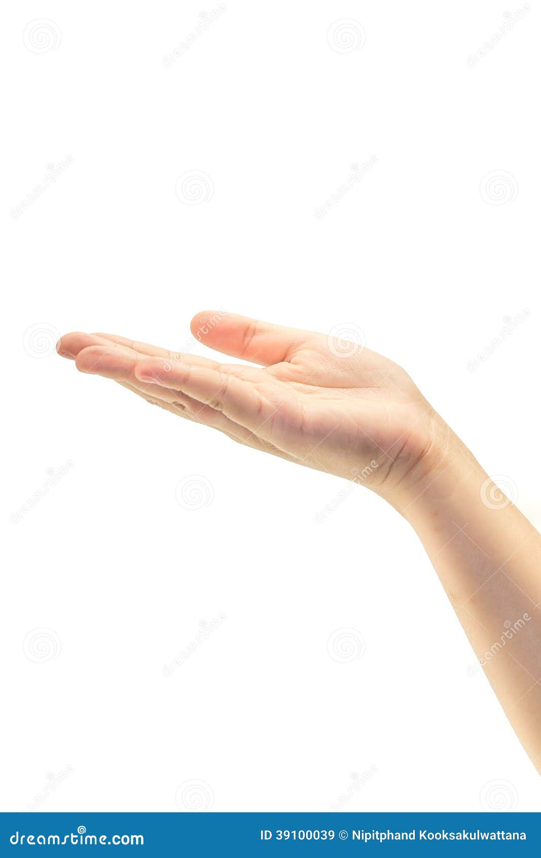 Empty Female Open Hand Isolated on White Stock Image - Image of girl ...