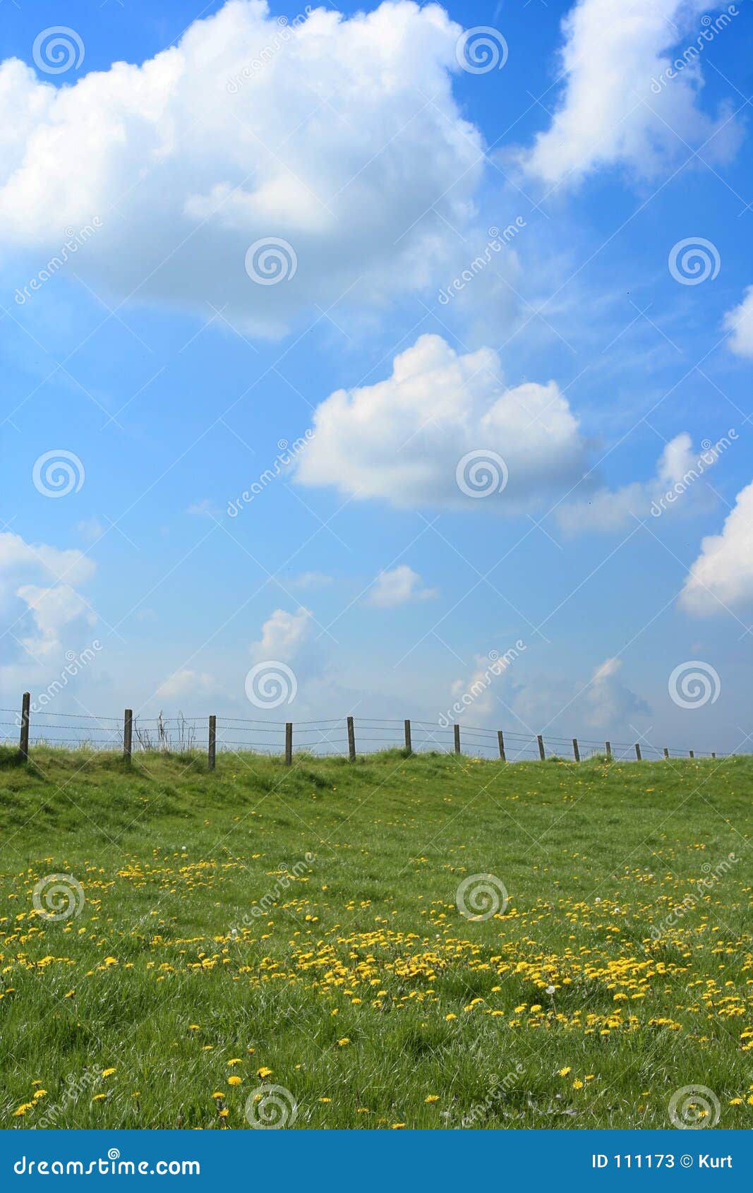 Empty field stock image. Image of field, cloud, agricultural - 111173