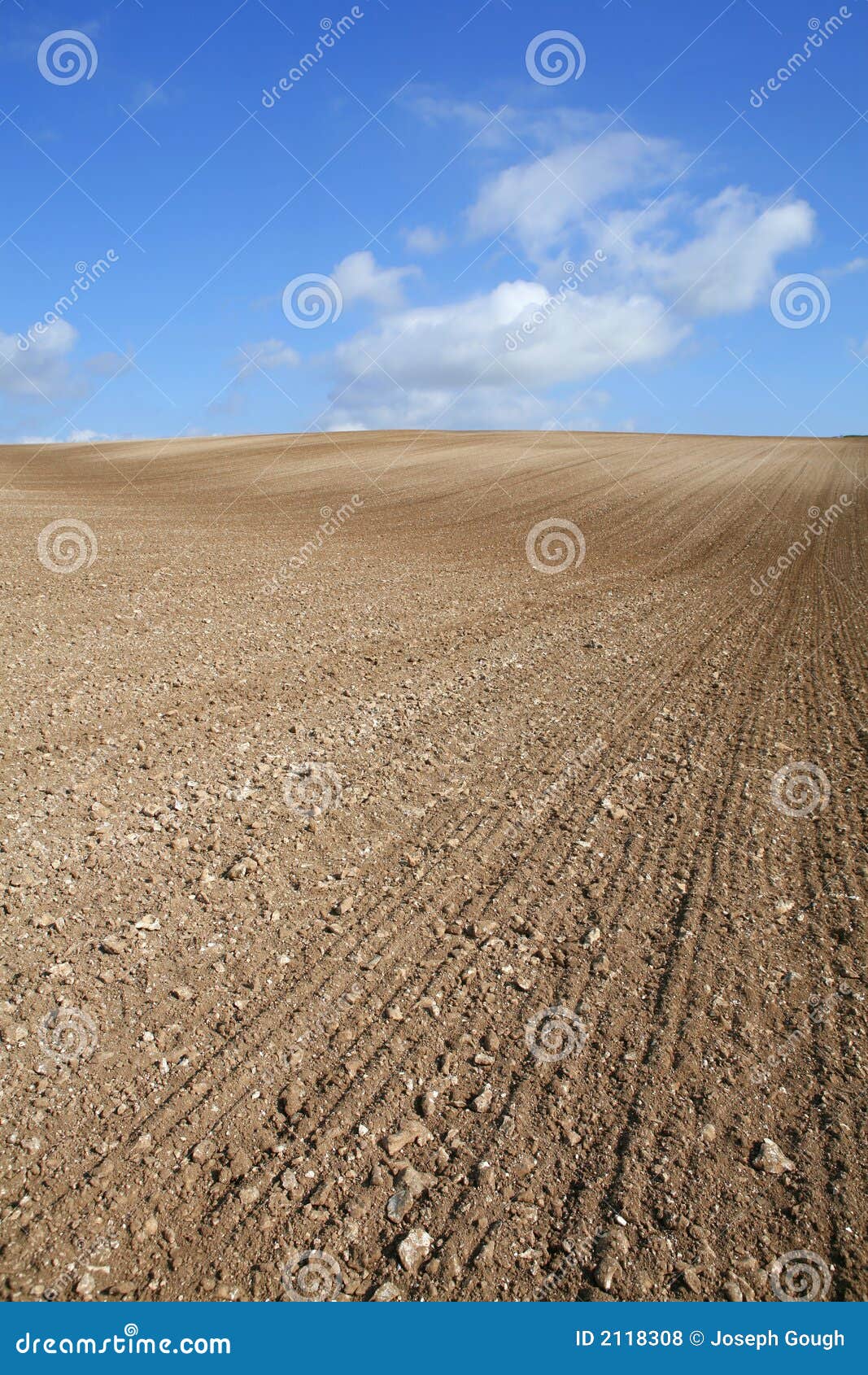 Empty Field stock photo. Image of soil, plowed, fertile - 2118308