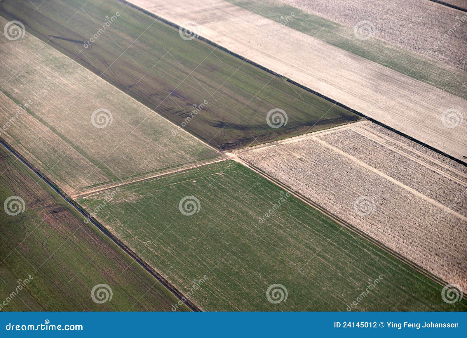 Empty field stock photo. Image of soil, plants, dirt - 24145012