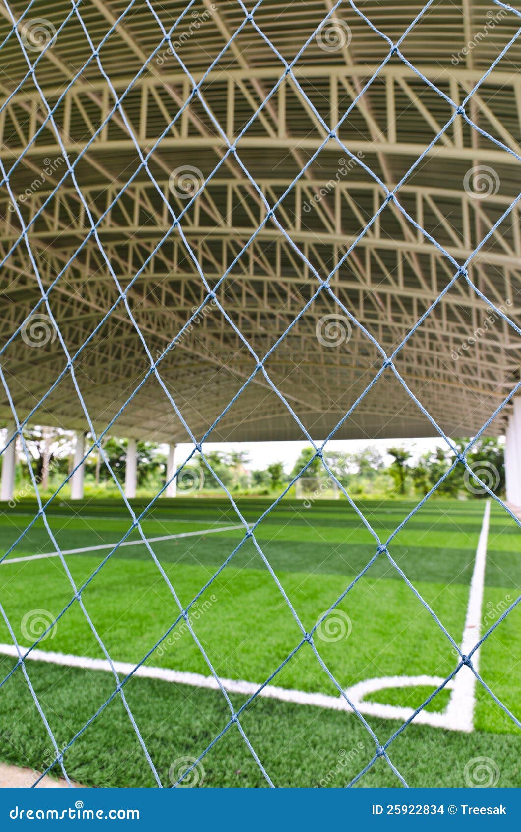 Empty field stock photo. Image of floor, ground, grass - 25922834