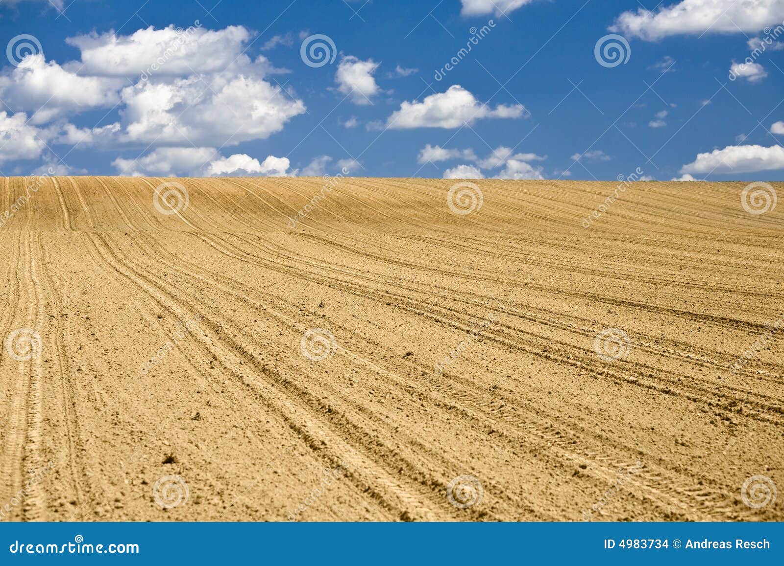 Empty Field stock photo. Image of cloudscape, scenics - 4983734