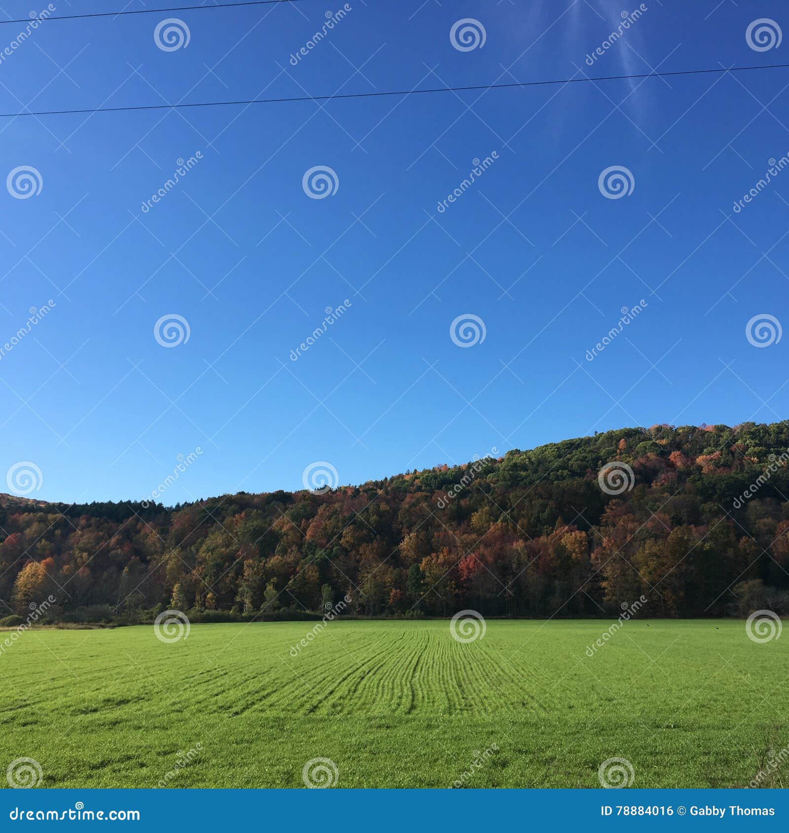 Empty field stock photo. Image of grass, landscape, atmosphere - 78884016