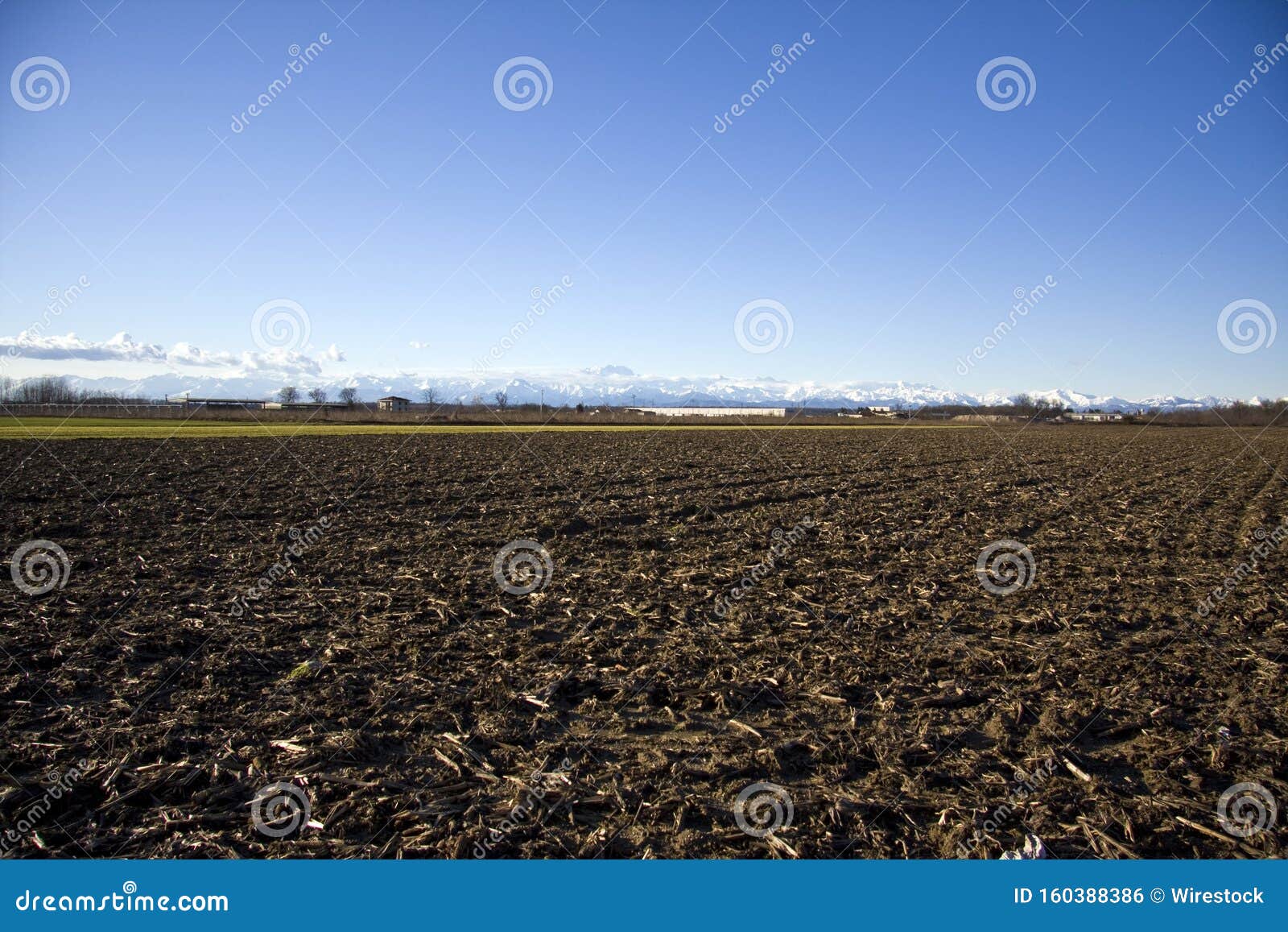Empty Field with a Clear Blue Sky in the Background at Daytime Stock ...