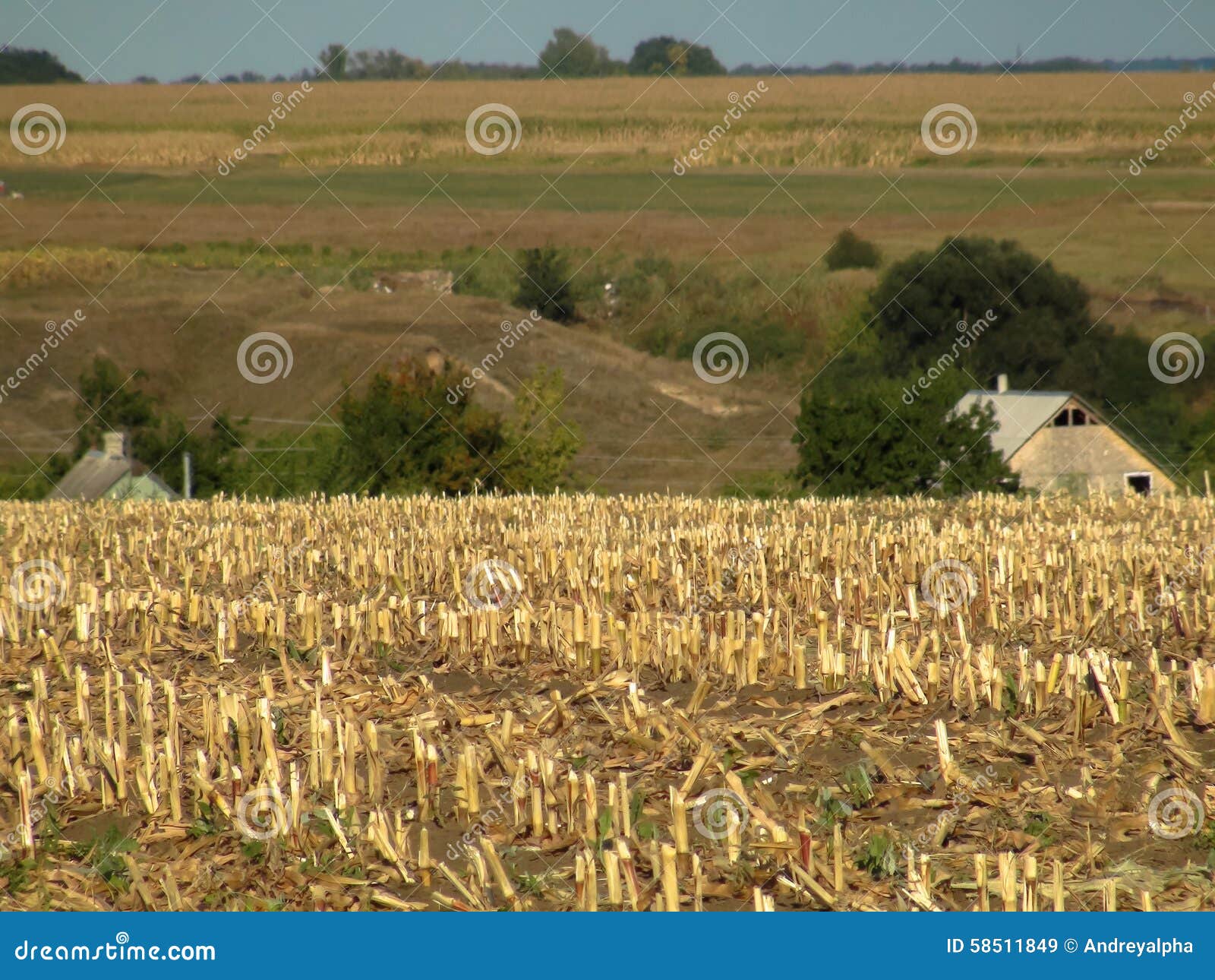 Empty field stock image. Image of agronomy, plant, season - 58511849