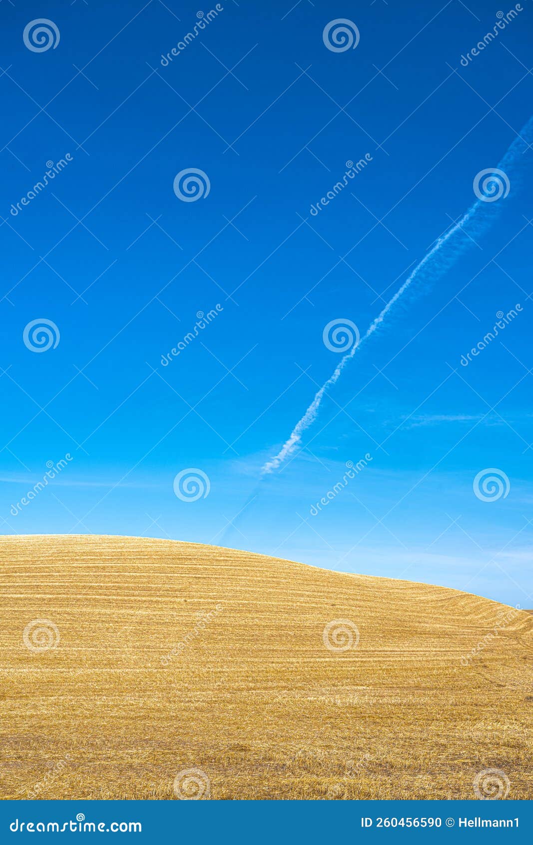 Empty Field stock photo. Image of trip, nature, travel - 260456590
