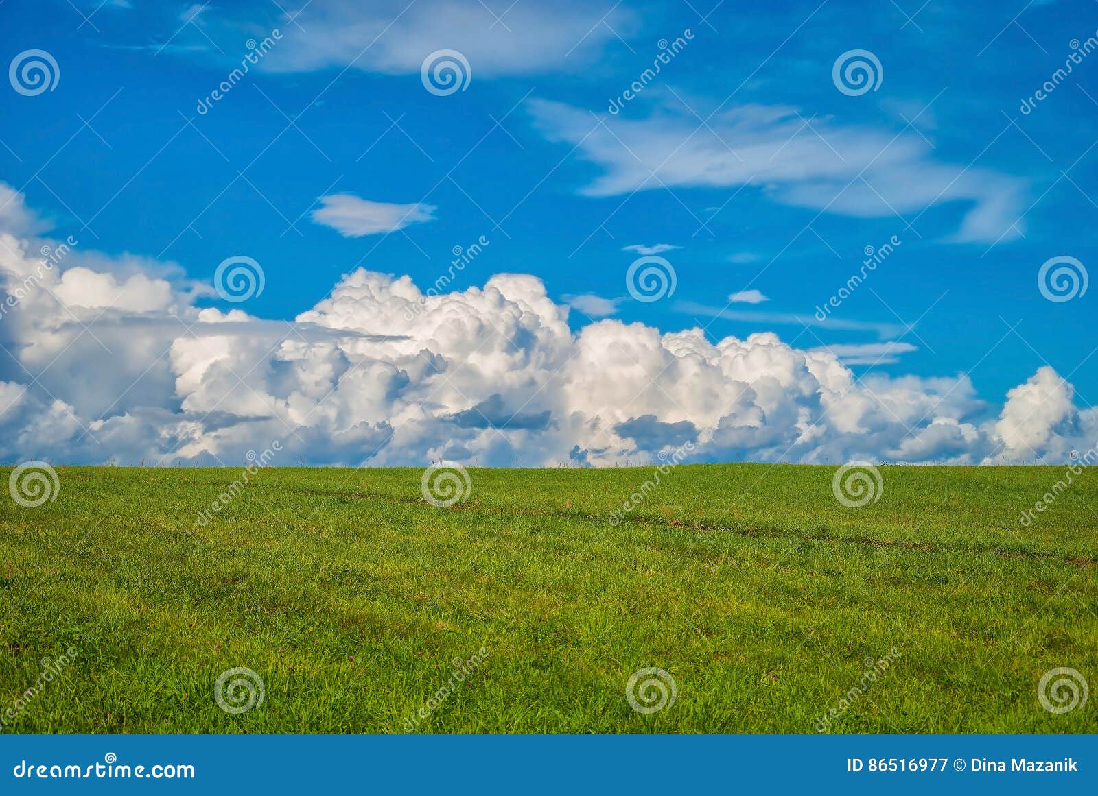 Empty Field with Green Grass and Clouds Stock Image - Image of field ...