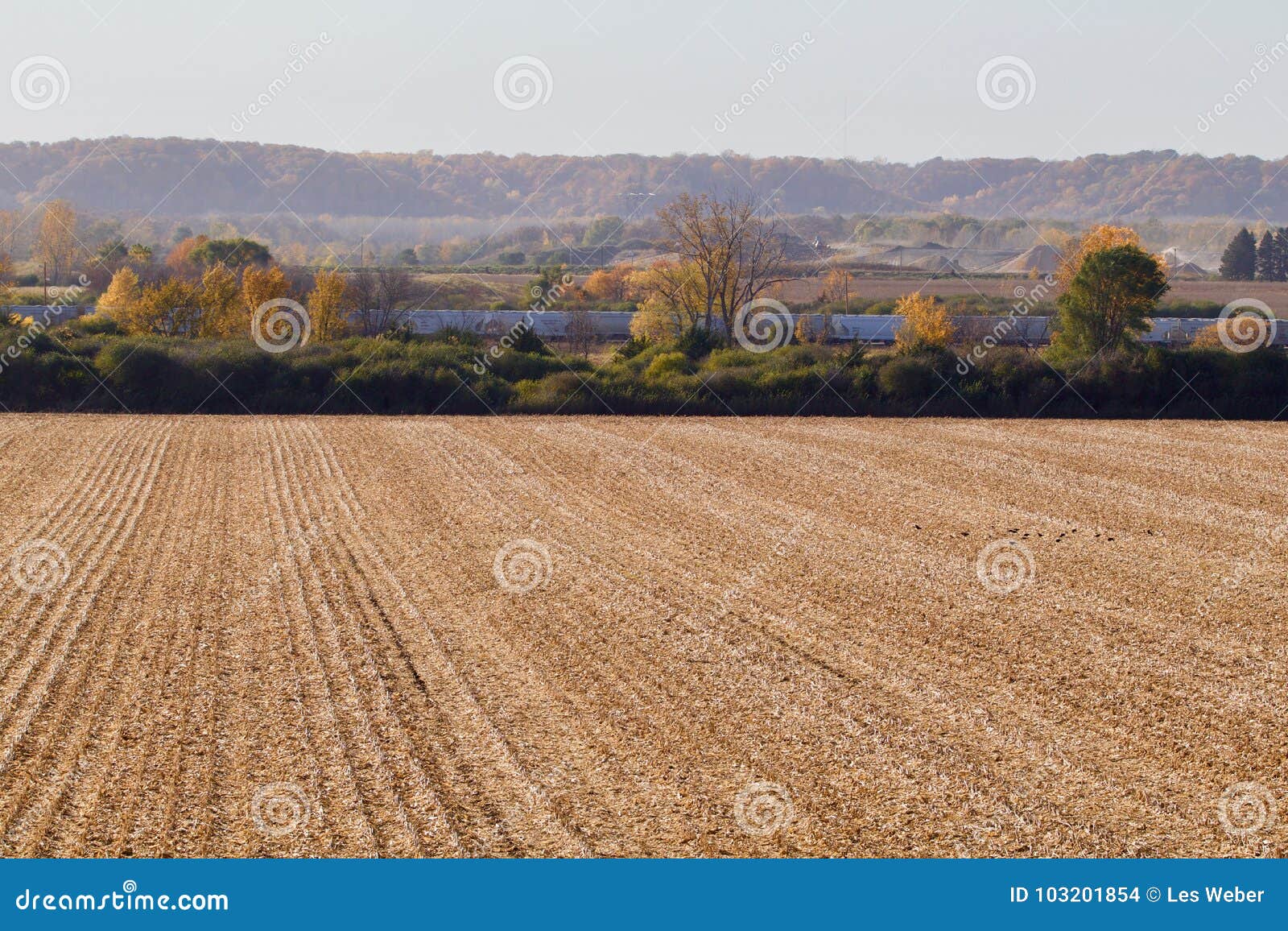 Empty Corn Field stock photo. Image of dust, golden - 103201854