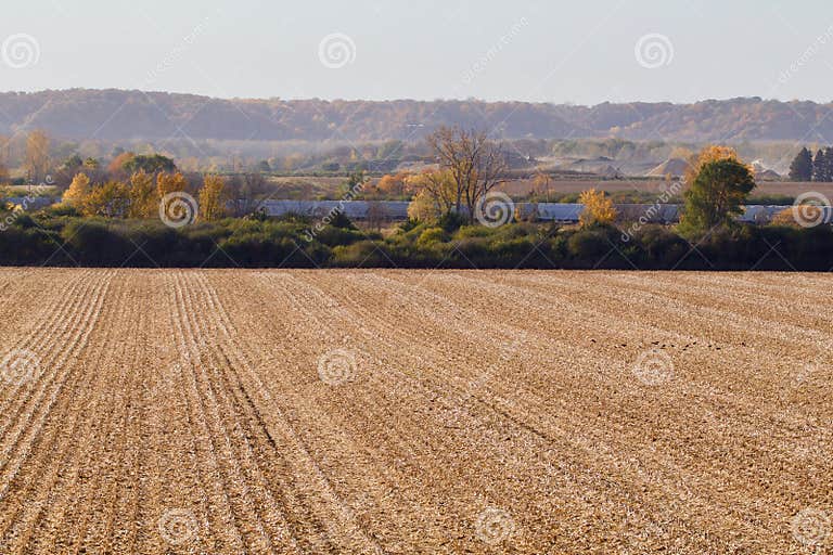 Empty Corn Field stock photo. Image of dust, golden - 103201854