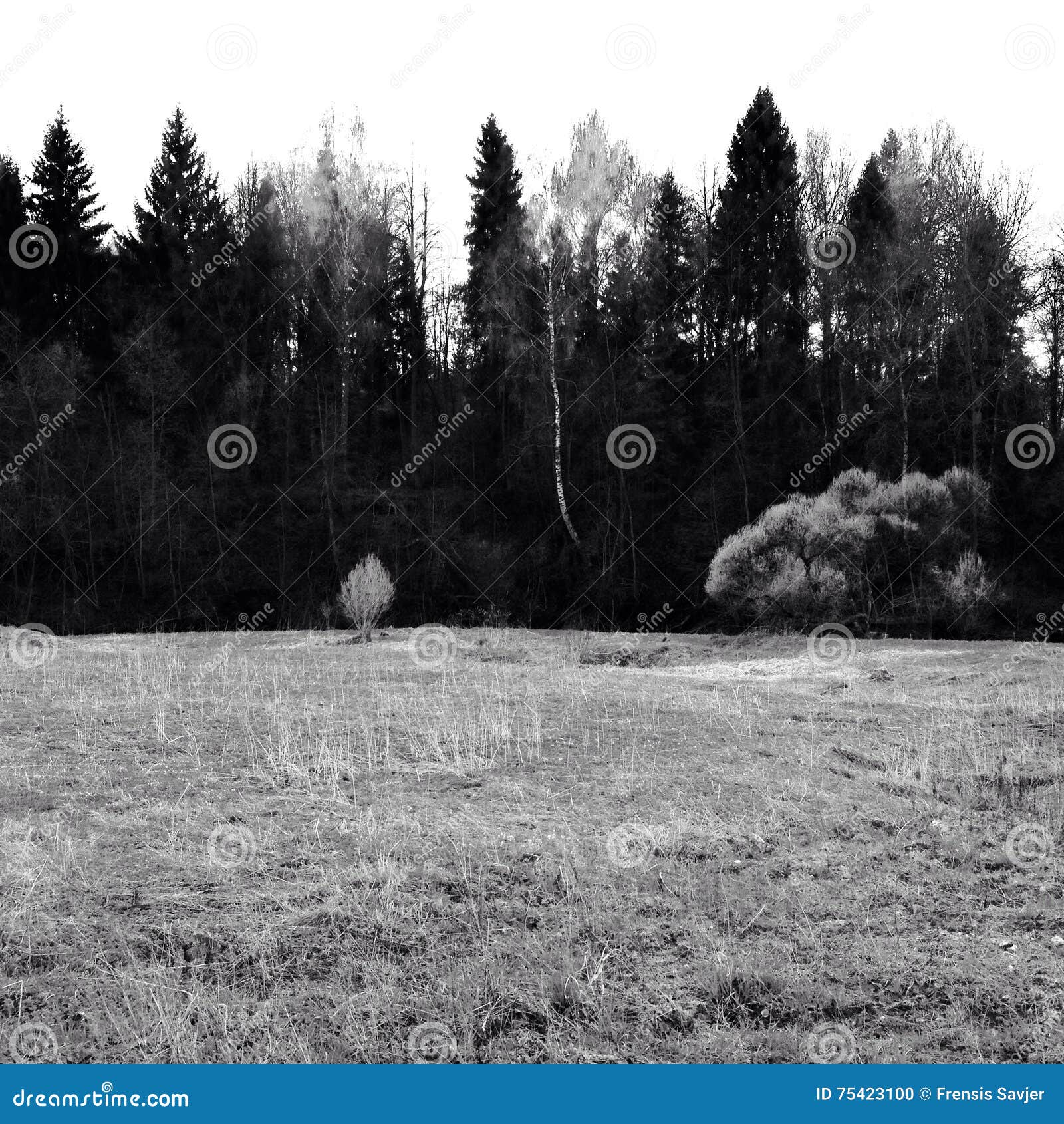 An empty field stock photo. Image of empty, shoot, abstract - 75423100