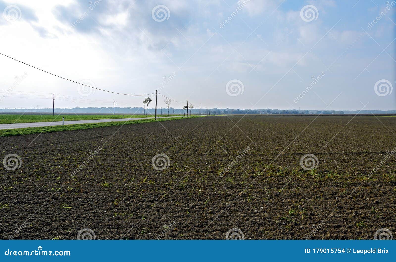 Empty field in spring stock photo. Image of width, austria - 179015754
