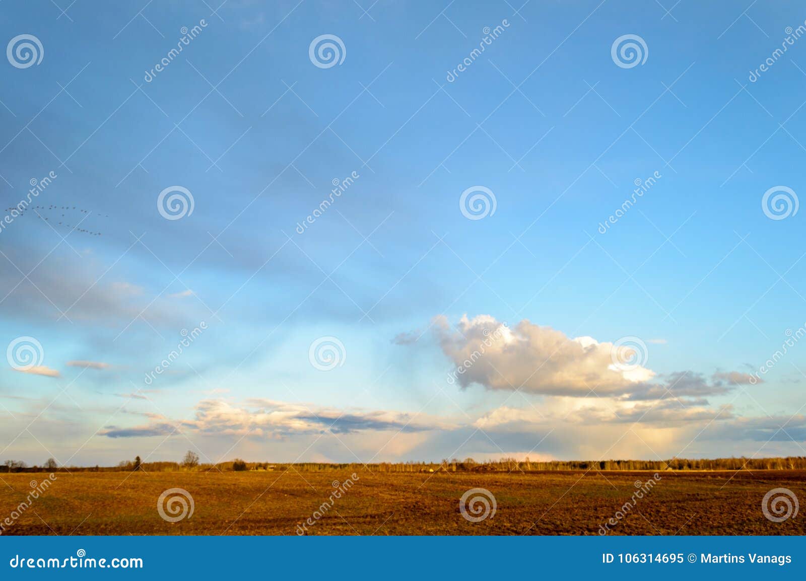 Empty Fields in Autumn in Countryside Stock Image - Image of river ...