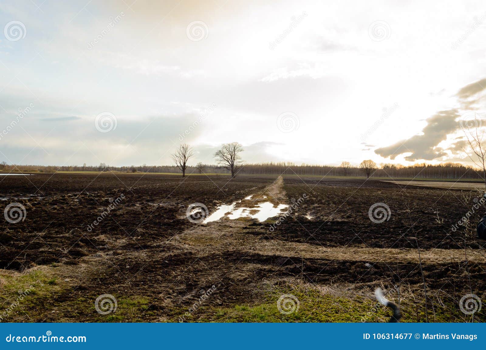 Empty Fields in Autumn in Countryside Stock Image - Image of light ...