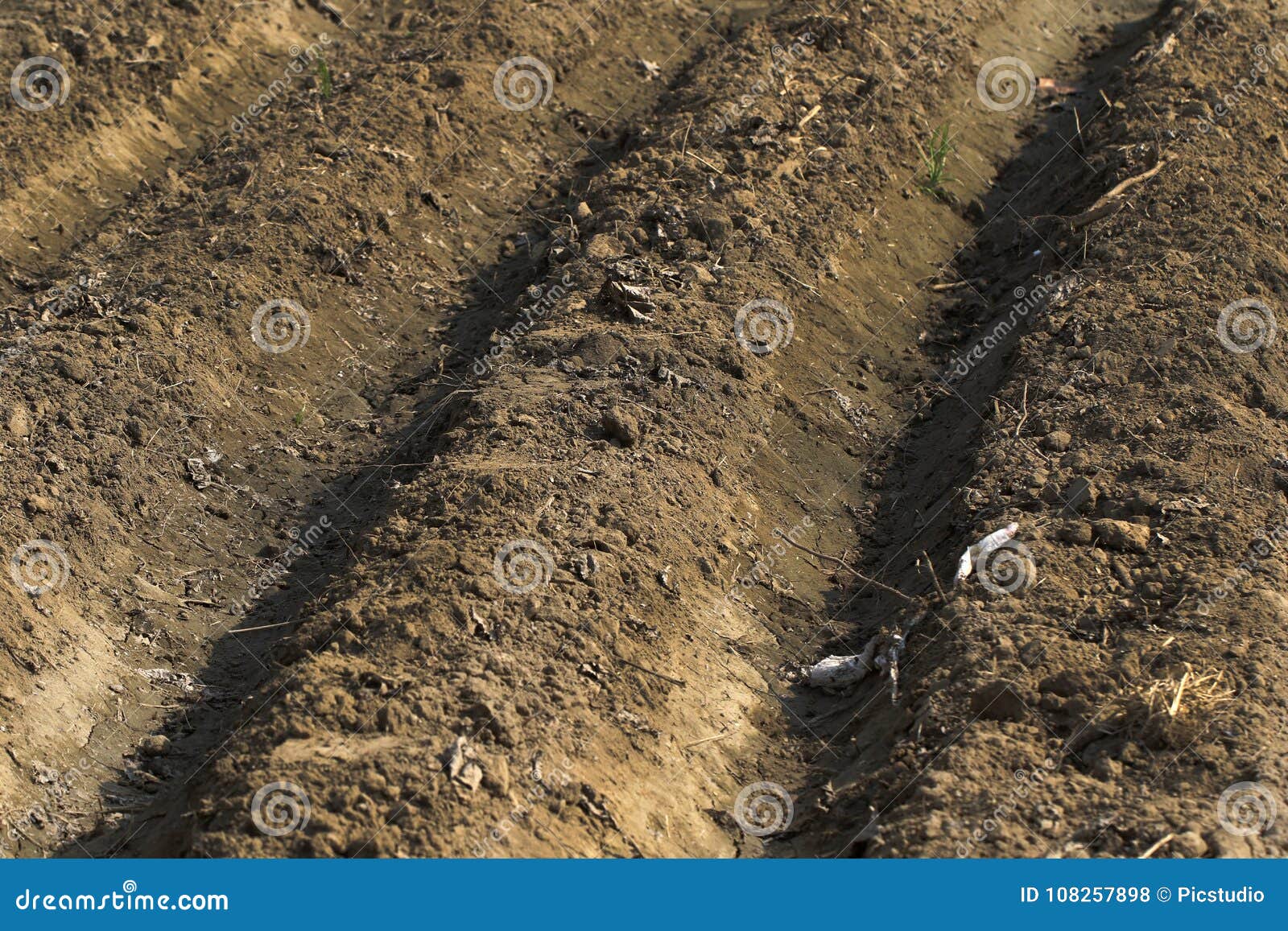 Empty fields stock photo. Image of organic, fields, soil - 108257898