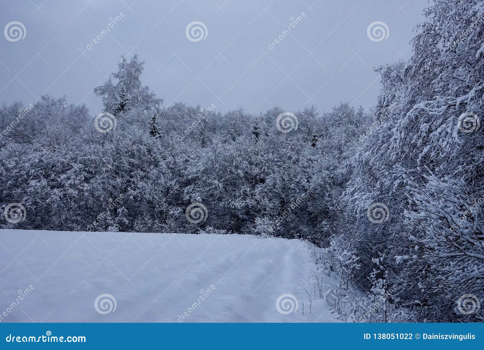 Empty Fields and Forest Corners Stock Photo - Image of empty, landscape ...