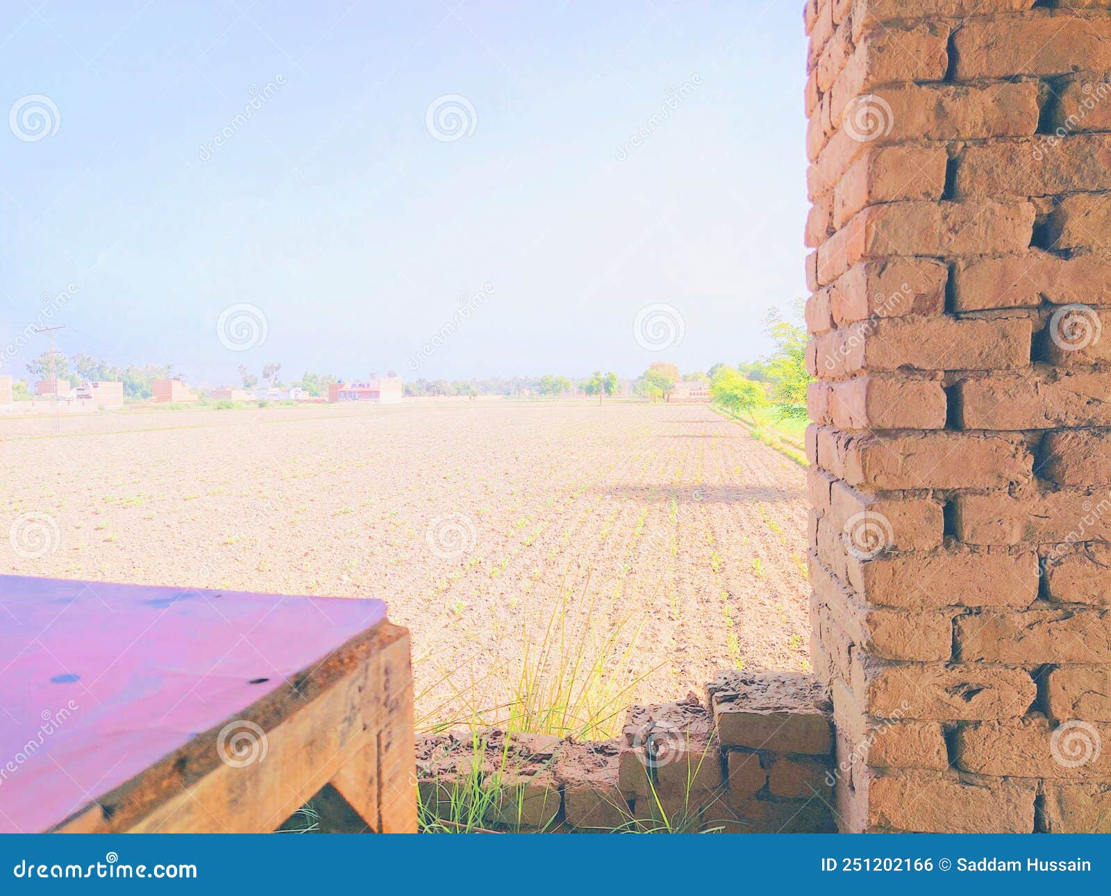 Empty fields for next crop stock photo. Image of crop - 251202166