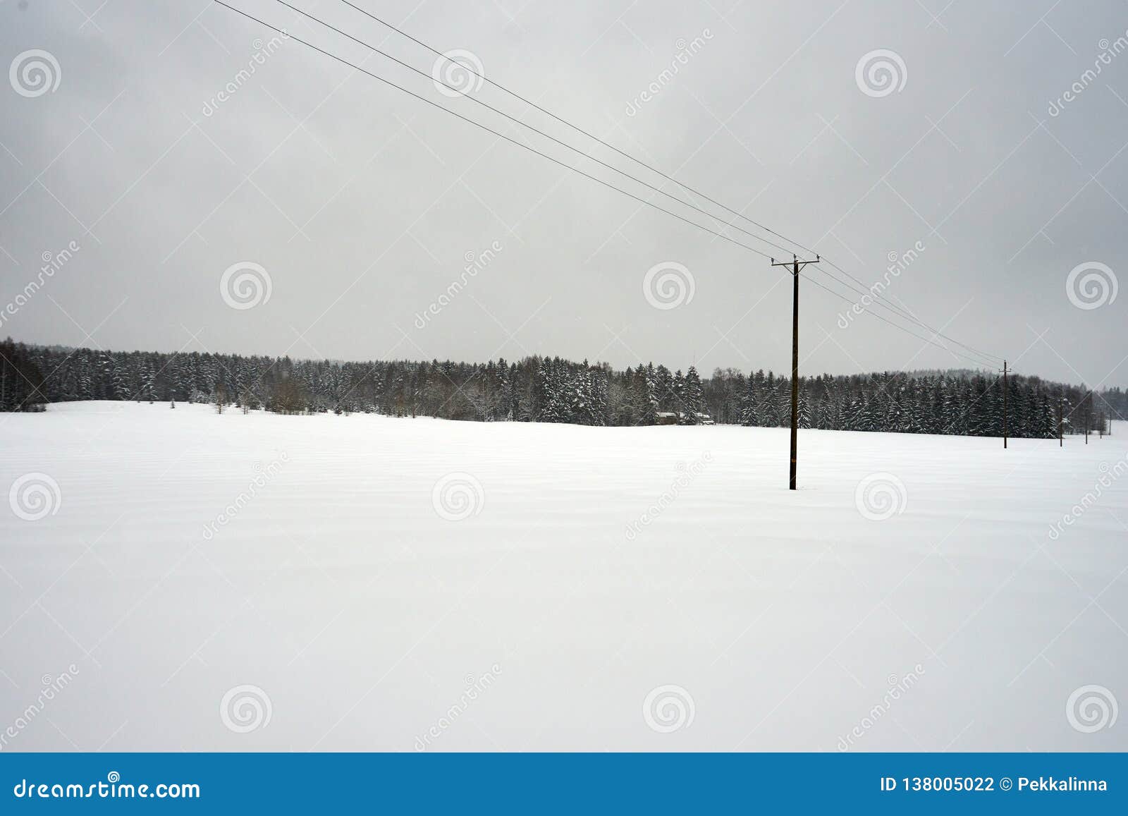 Empty fields in winter day stock photo. Image of snowfall - 138005022