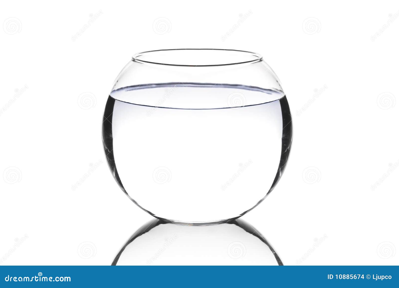 An empty fish bowl stock photo. Image of liquid, empty - 10885674