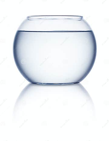 Empty fish bowl stock image. Image of liquid, fish, white - 17927531