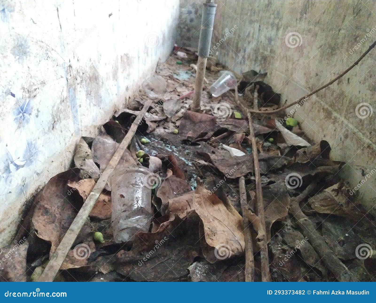 Empty Fish Ponds without Fish and Abandoned Around Educational ...
