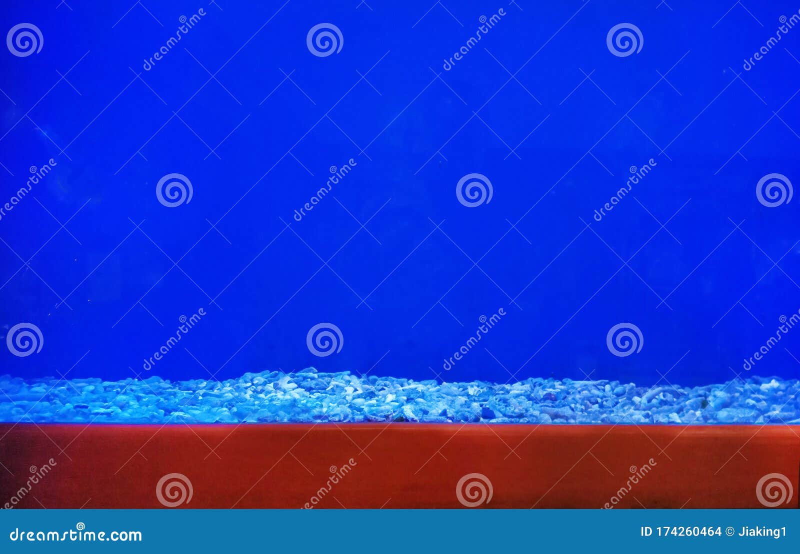 Empty Fish Tank Background