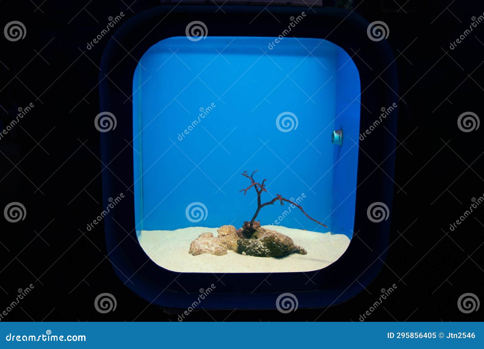 Empty Fish Tank Royalty-Free Stock Photography | CartoonDealer.com ...