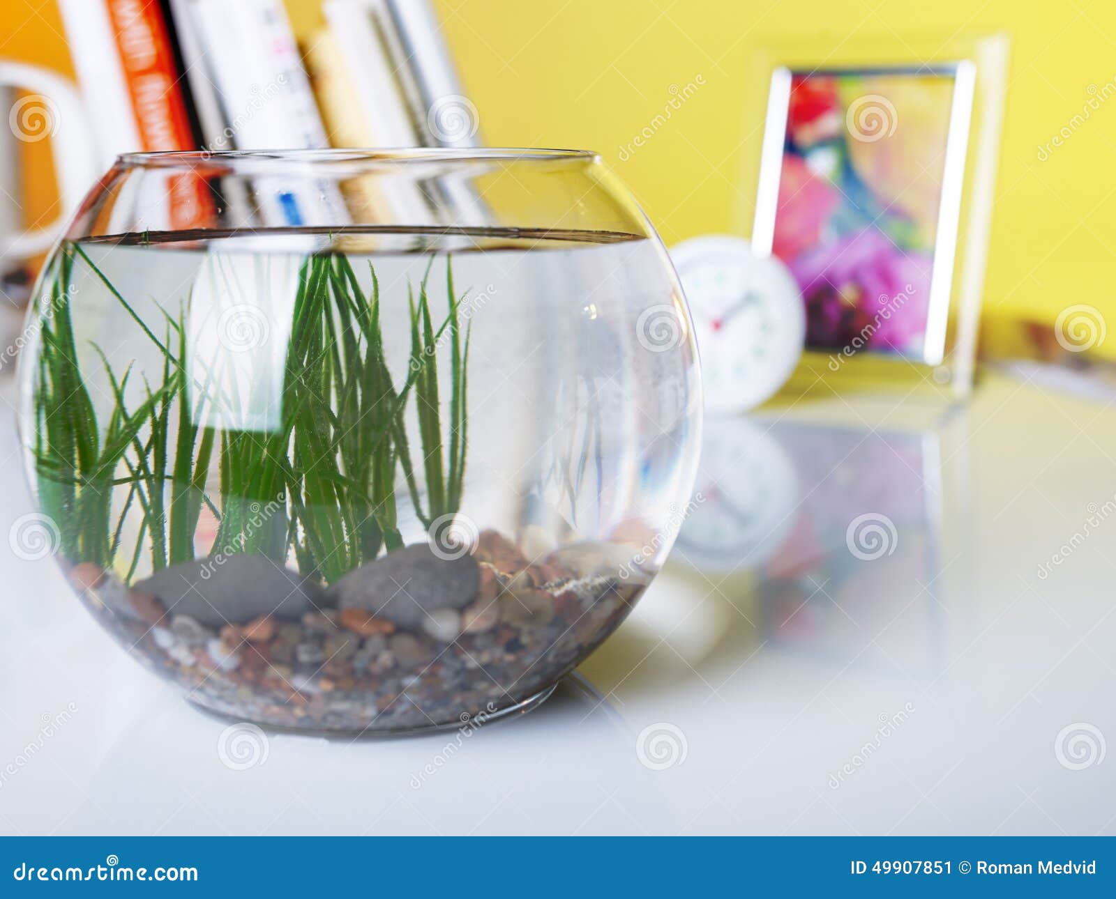 Empty Aquarium Ideas