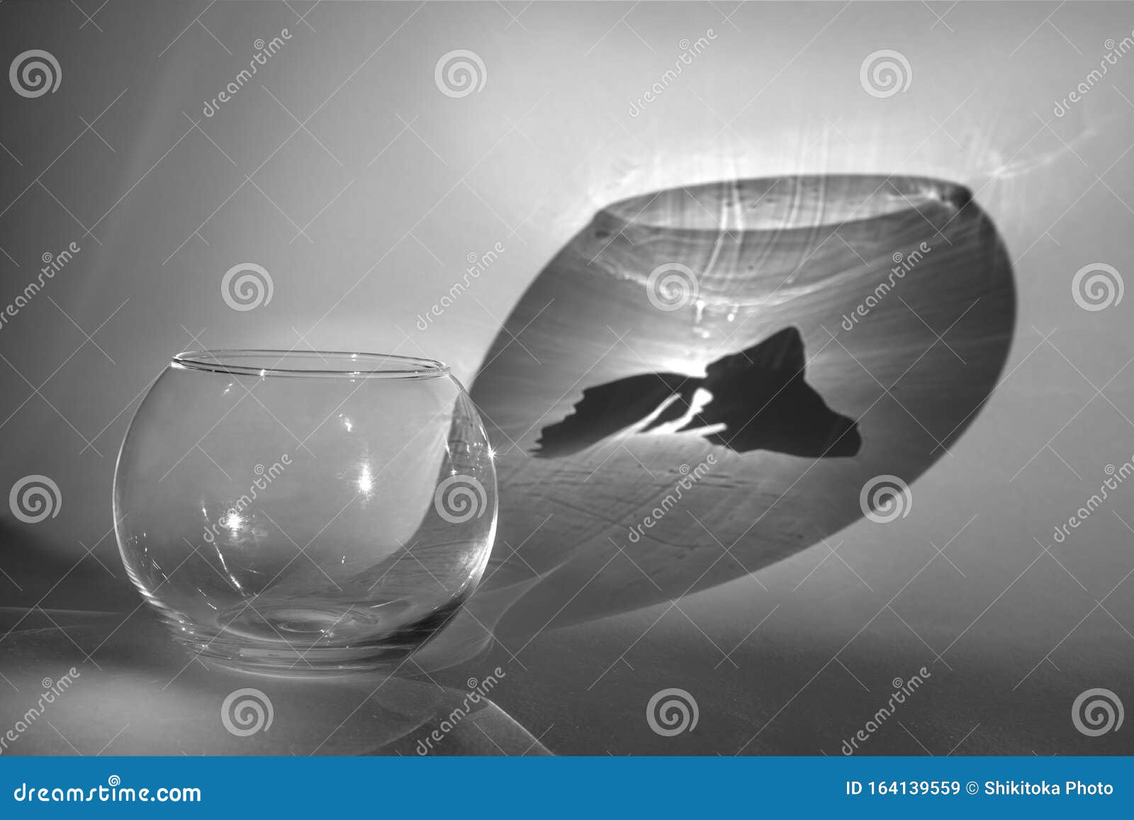 Empty Fishbowl Casting a Shadow with Goldfish Inside Stock Image ...