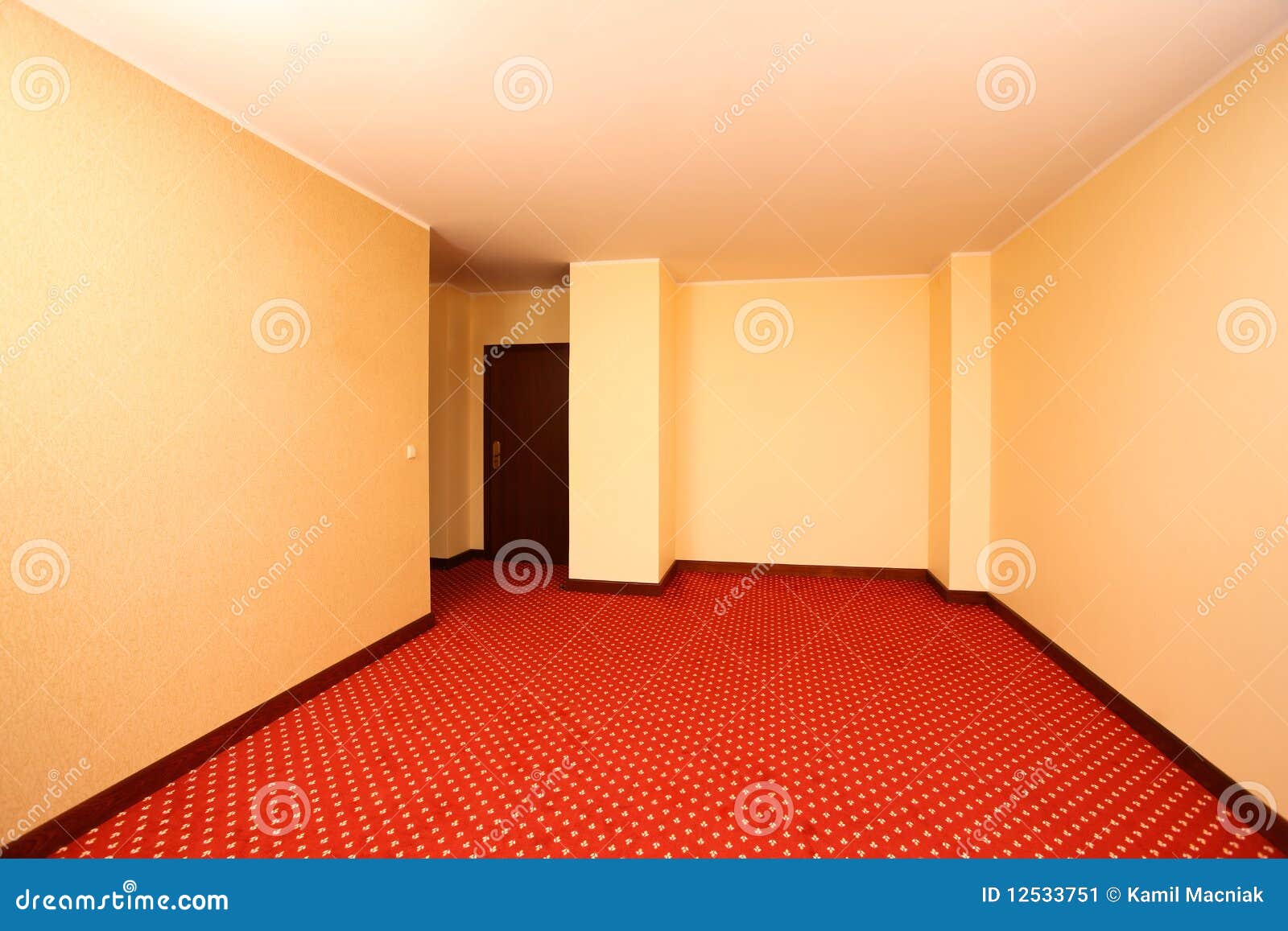 Empty flat stock image. Image of interior, apartment - 12533751