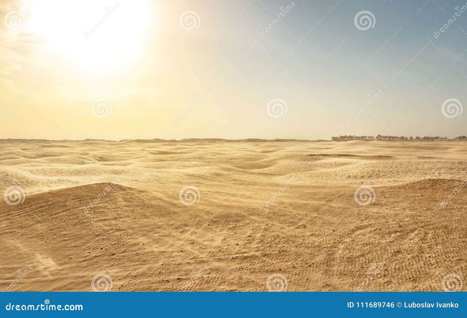 Empty Flat Sahara Desert, Wind Forming Sand Dust Stock Photo - Image of ...