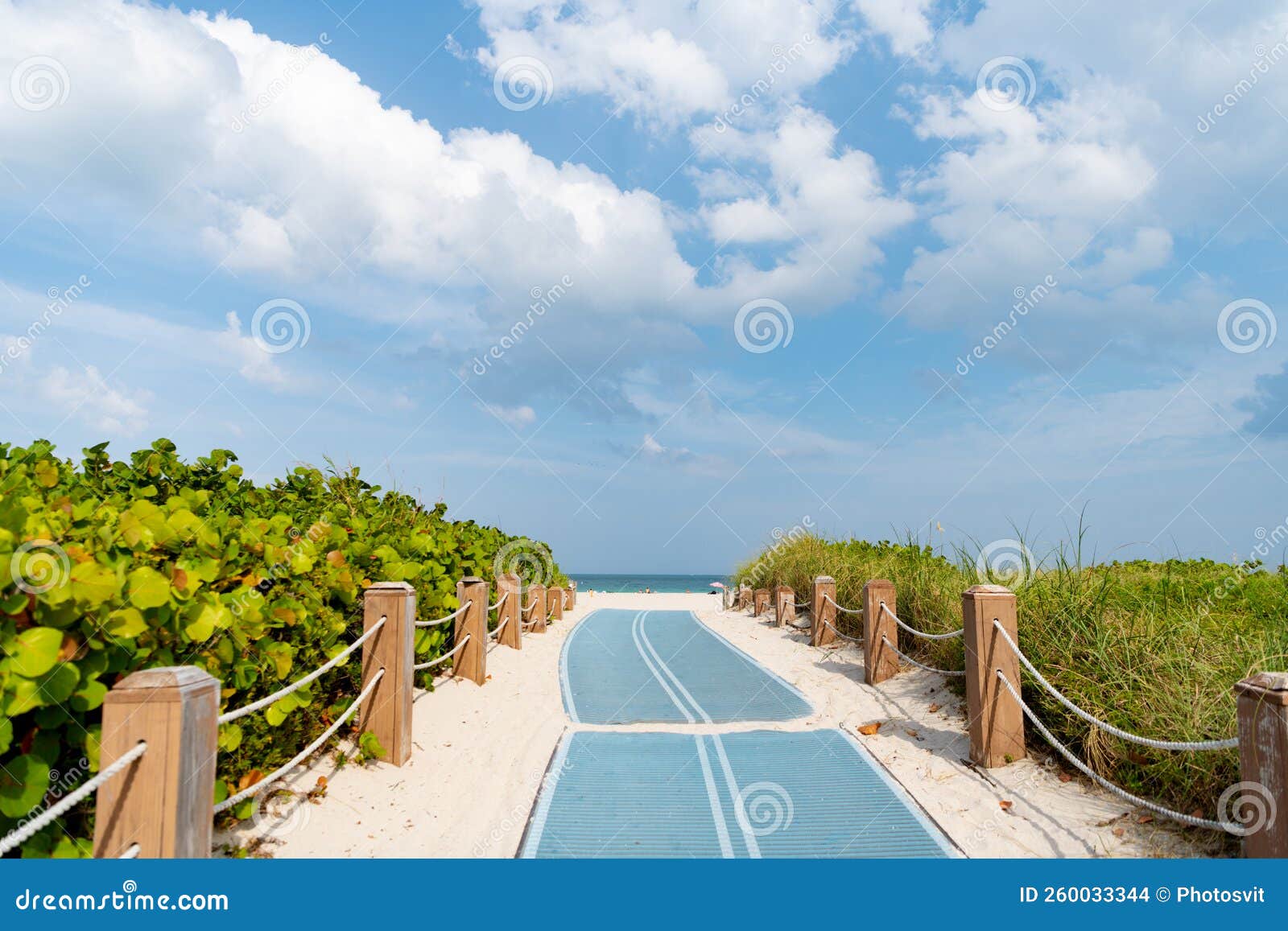 Empty Foot Path Road Leading To Summer Beach Stock Photo - Image of ...