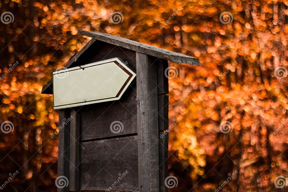 Empty Forrest Sign ,pointing To the Right Stock Photo - Image of forest ...