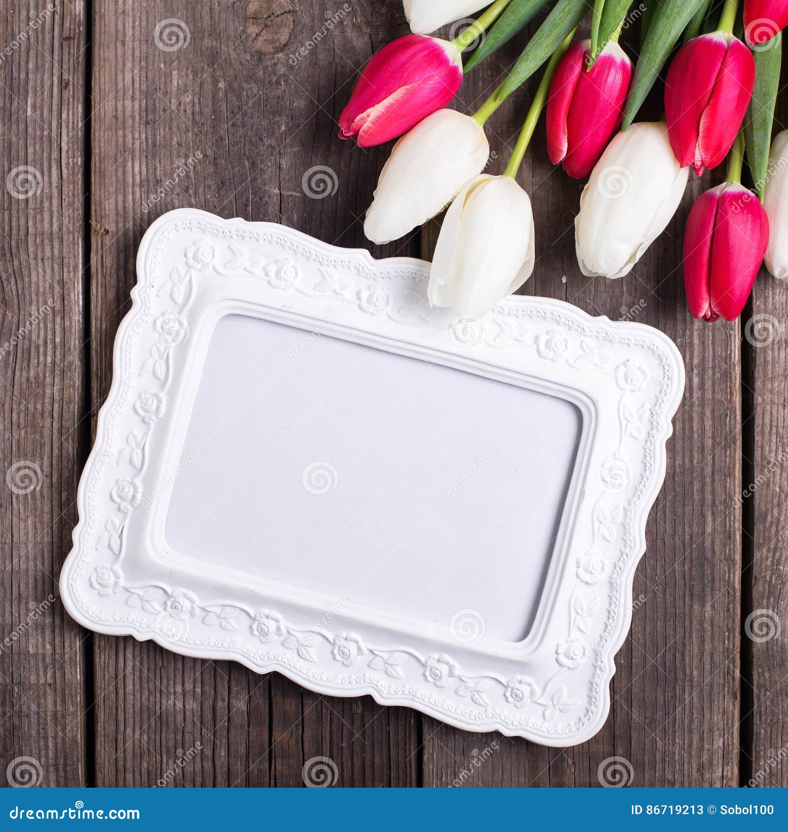 Empty Frame and Bright Pink and White Tulips Flowers on Rust Stock ...