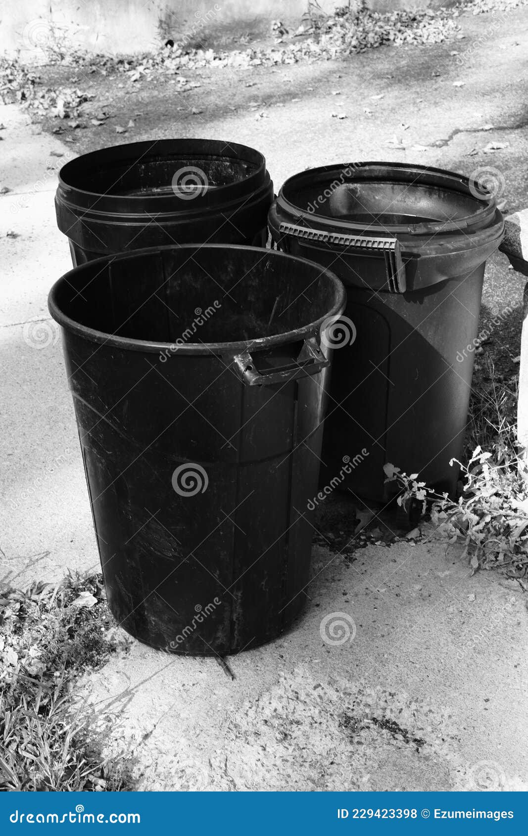 Empty Garbage Cans Driveway Stock Photo - Image of driveway, collection ...