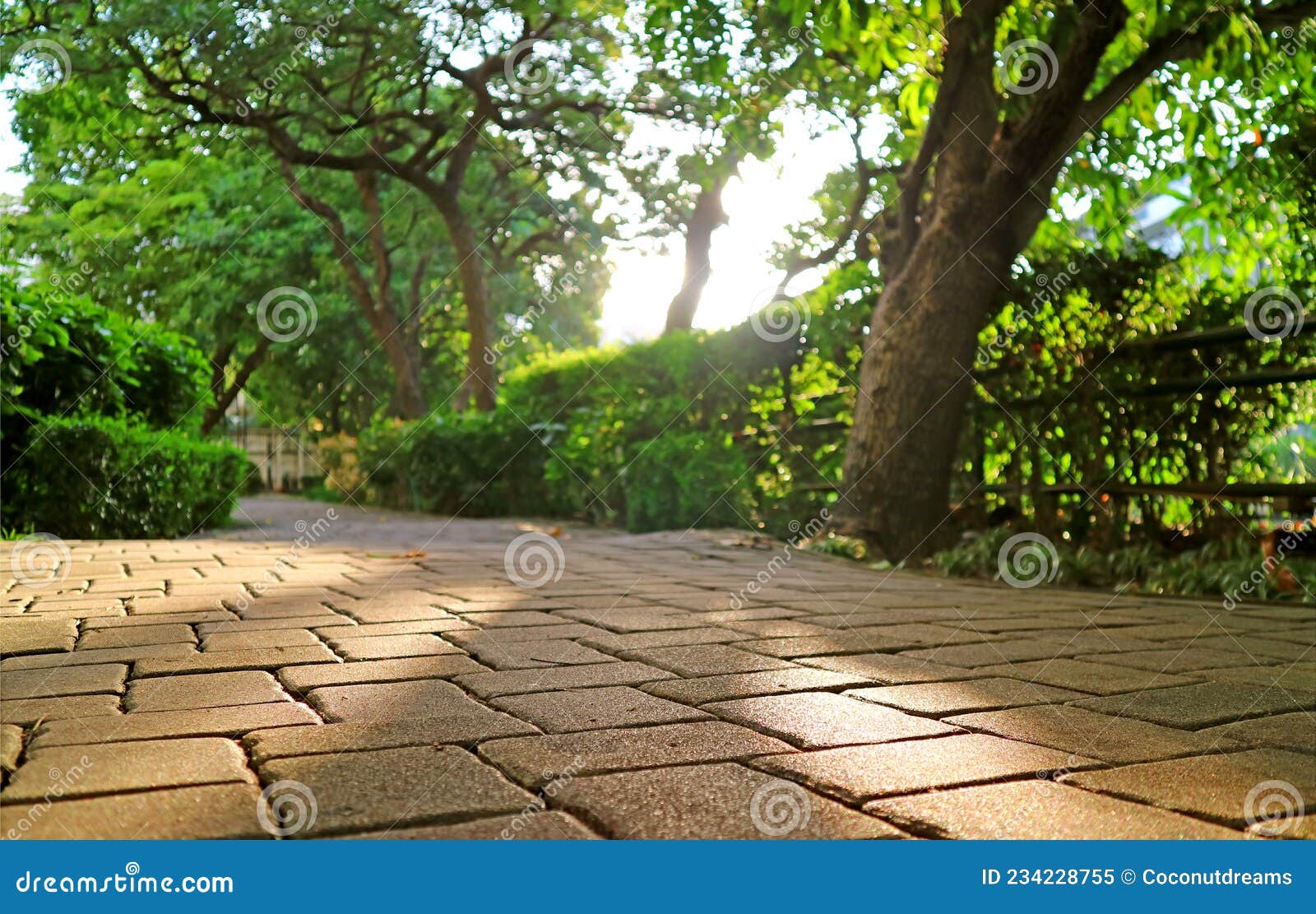 Empty Garden`s Stone Block Pathway in the Sunlight Stock Image - Image ...