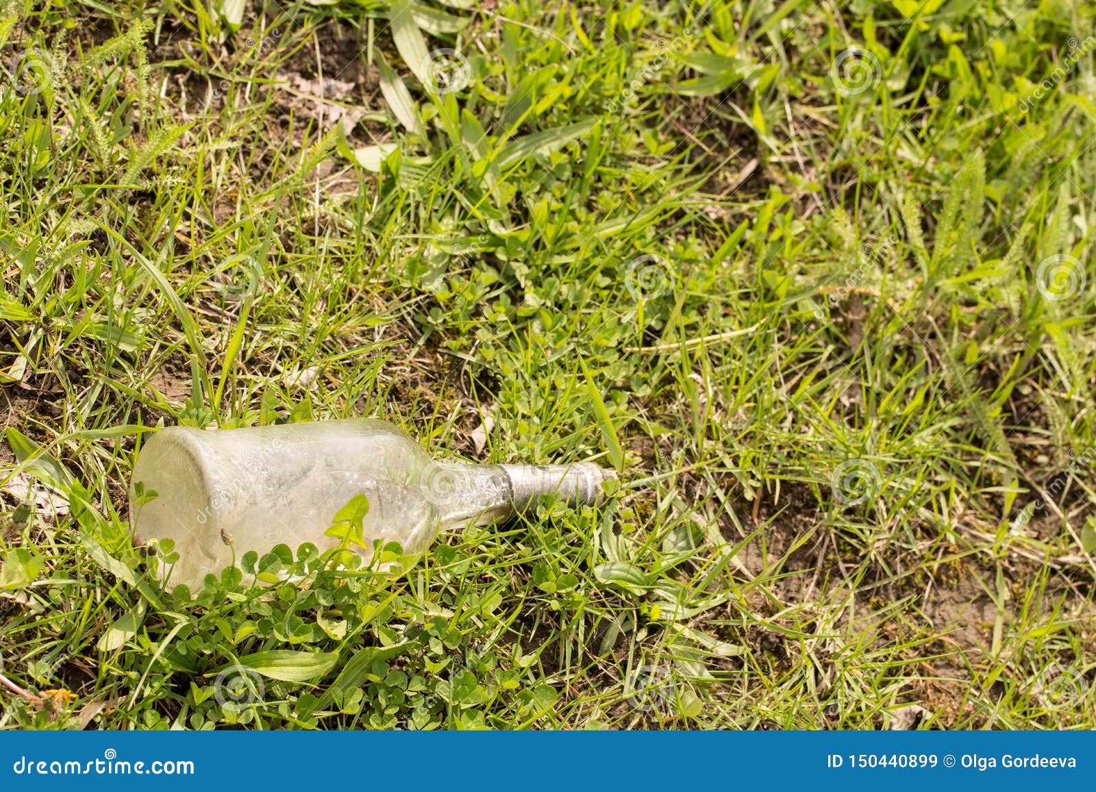 Empty Glass Bottle in Grass Field , Trash Editorial Stock Image - Image ...