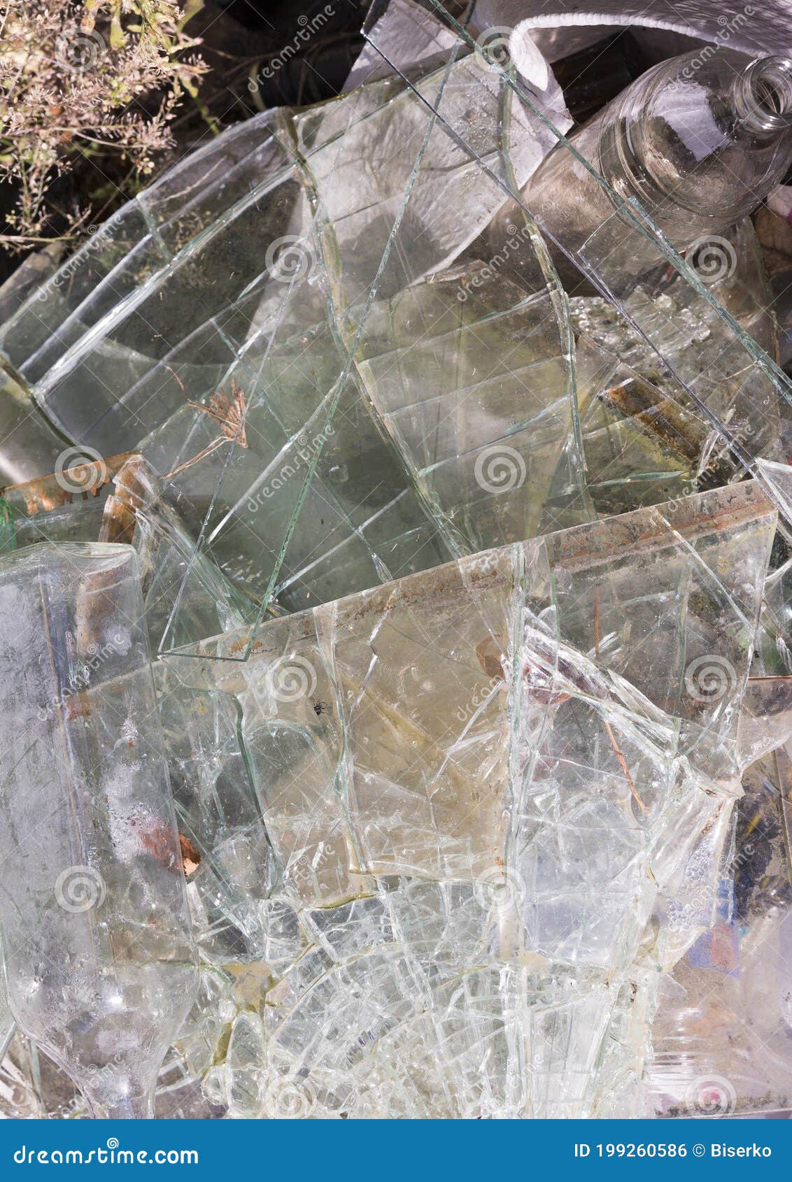 Glass waste in the trash stock photo. Image of trash - 199260586