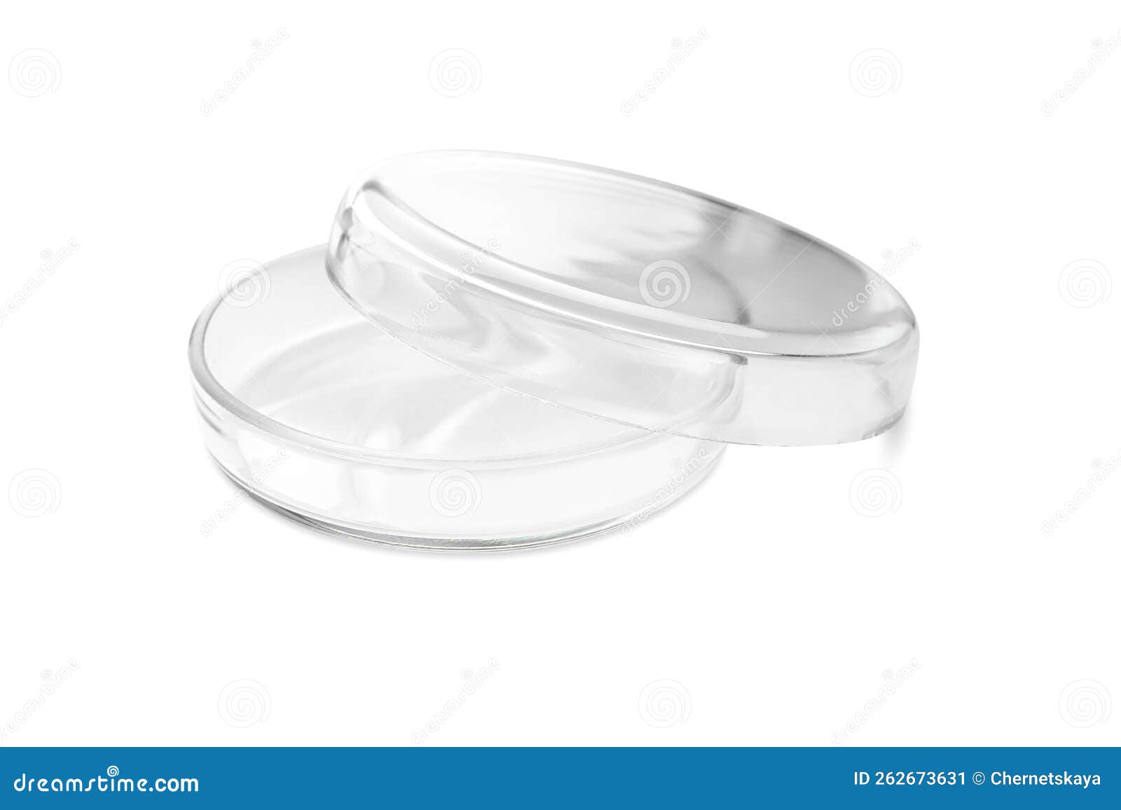 Empty Glass Petri Dishes Isolated on White Stock Image - Image of glass ...