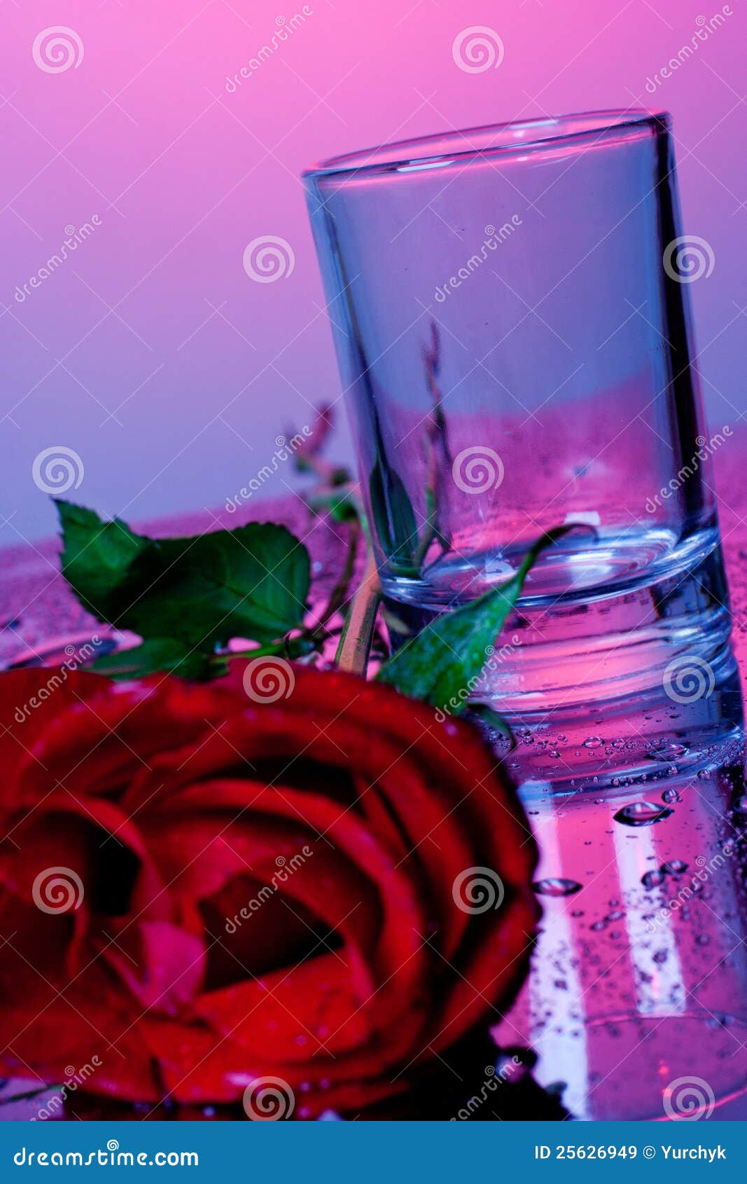 Empty glass with rose stock image. Image of cognac, aperitif - 25626949