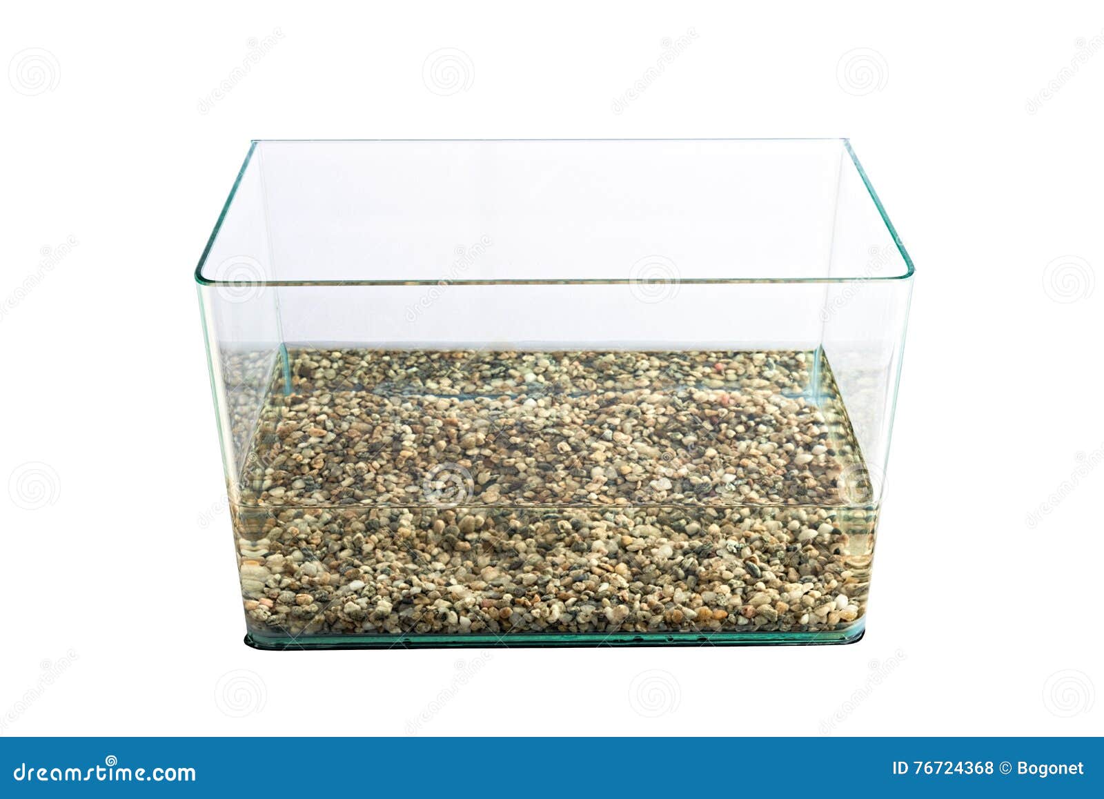Empty Glass Water Tank (aquarium) Stock Photo - Image of animal ...