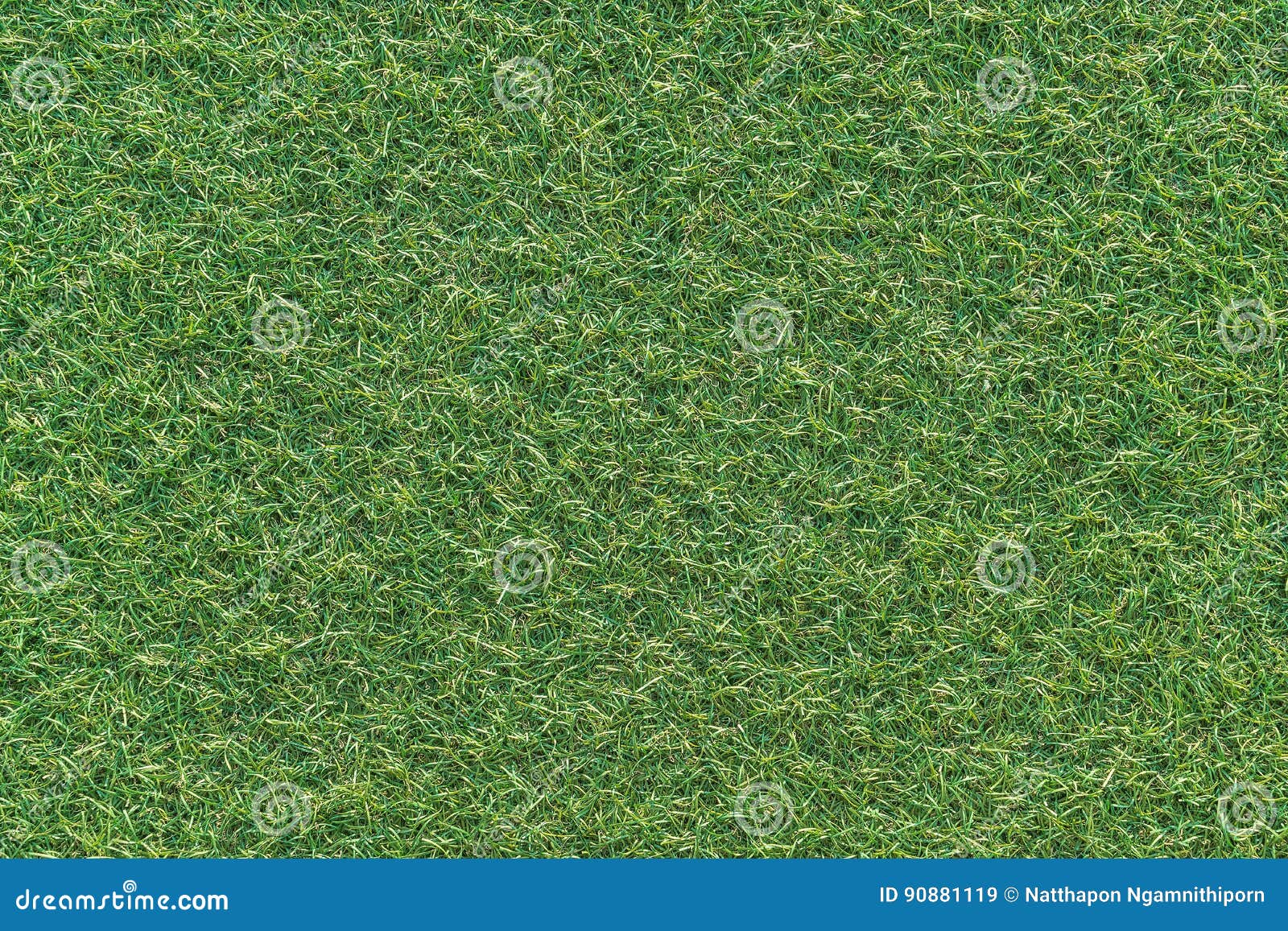 Empty grass background stock image. Image of activity - 90881119