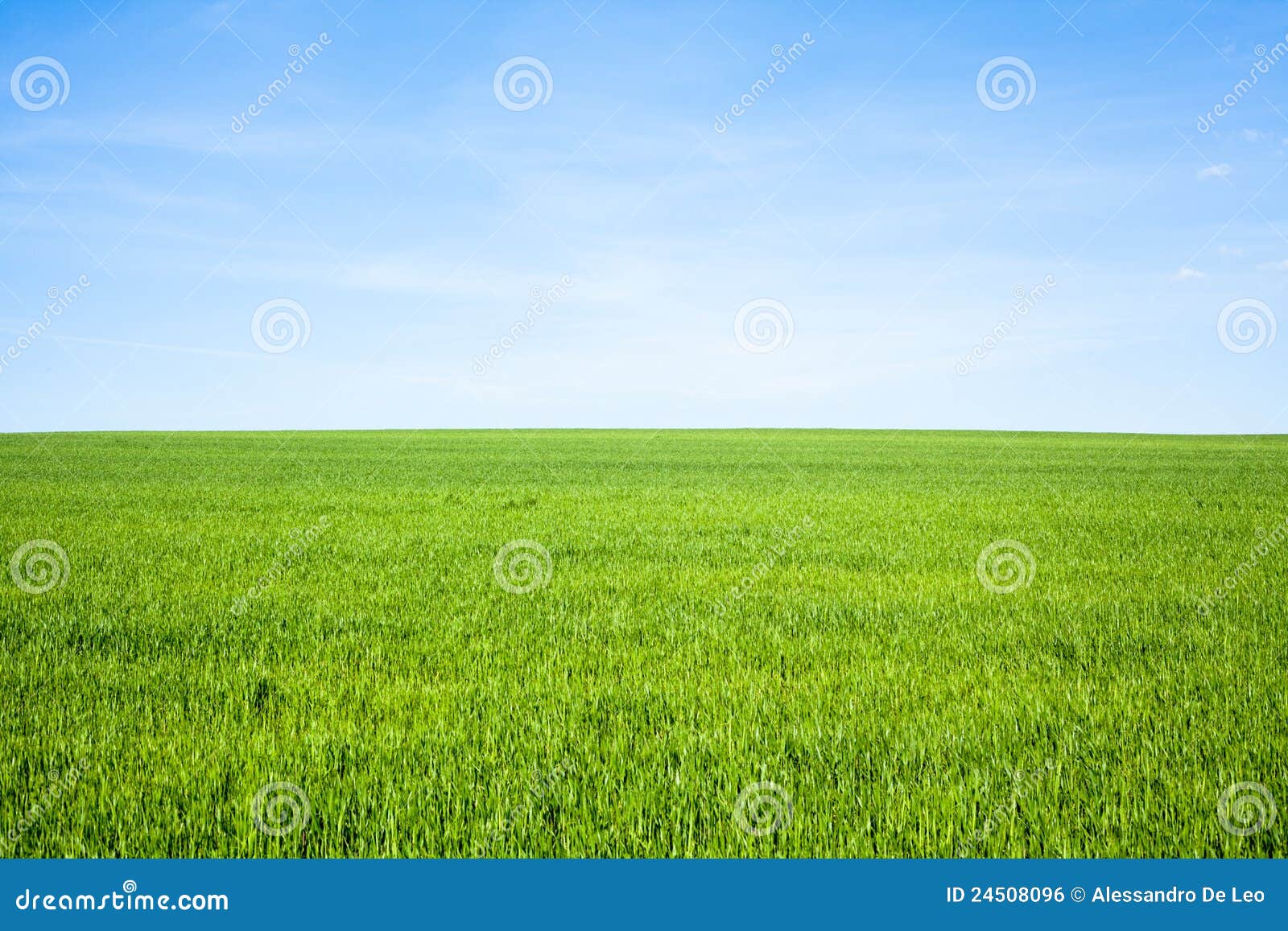 Empty Grass Field stock photo. Image of country, landscape - 24508096