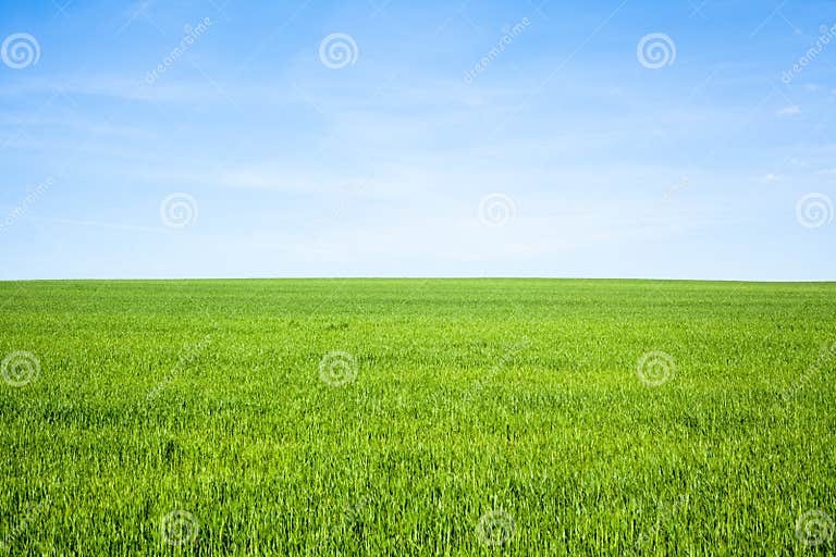 Empty Grass Field stock photo. Image of country, landscape - 24508096