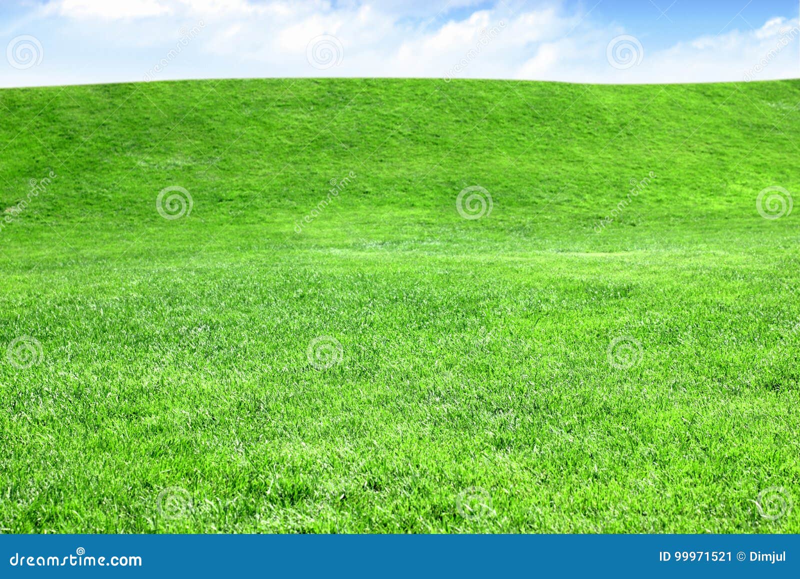 Empty Grass Field with Horizon and Sky Stock Image - Image of blank ...