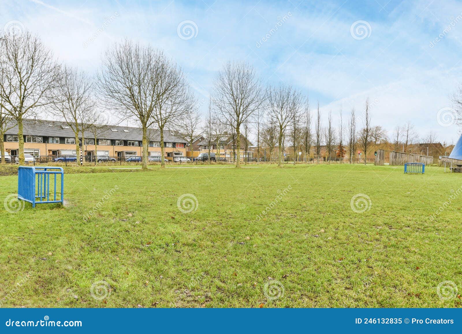 Empty grass field stock image. Image of natural, plant - 246132835