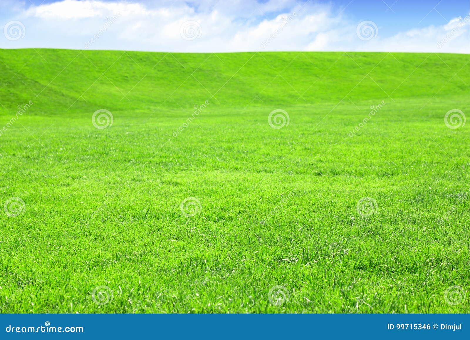 Empty Grass Field with Blue Sky Stock Photo - Image of blank, view ...