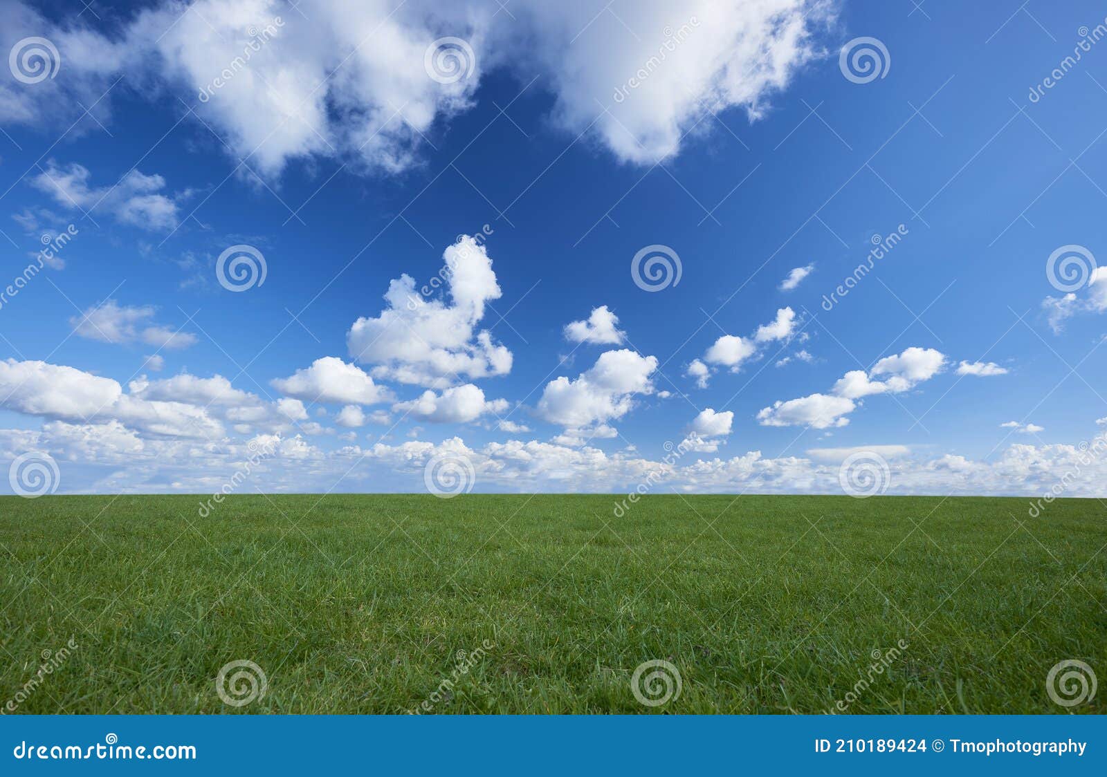 Empty Grass Field Meadow Landscape with Blue Sky, White Clouds Stock ...