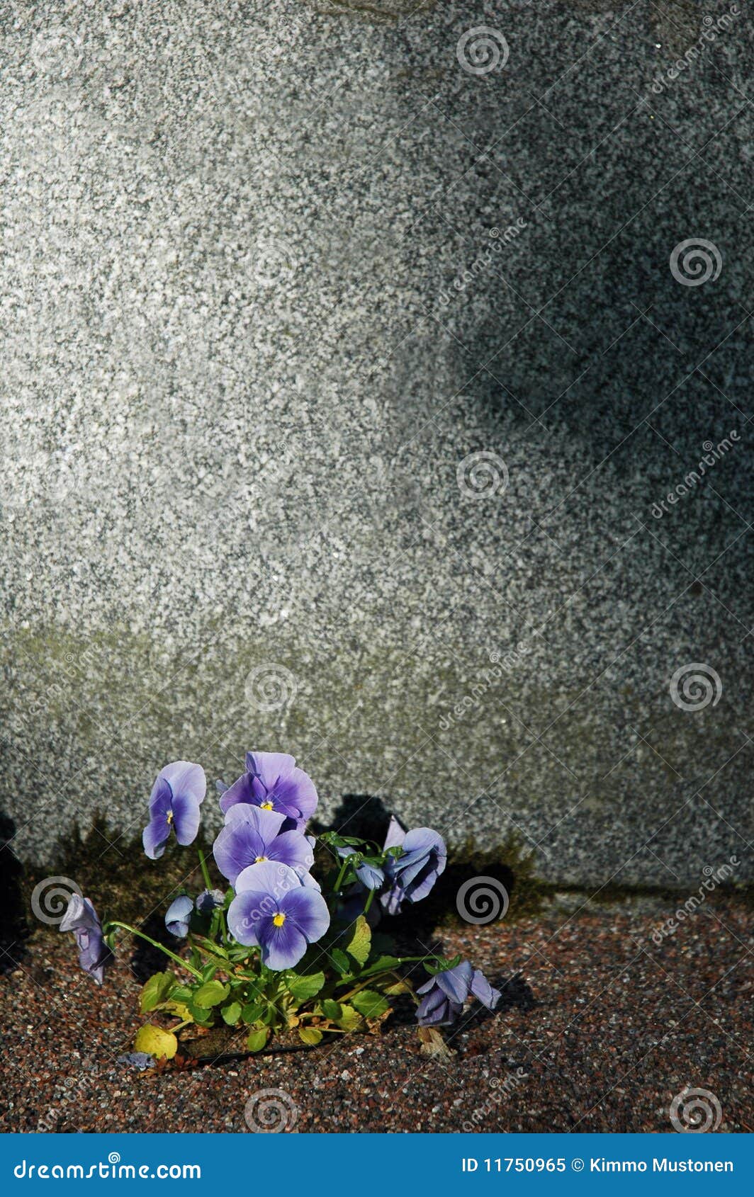 Empty gravestone stock image. Image of historic, headstone - 11750965